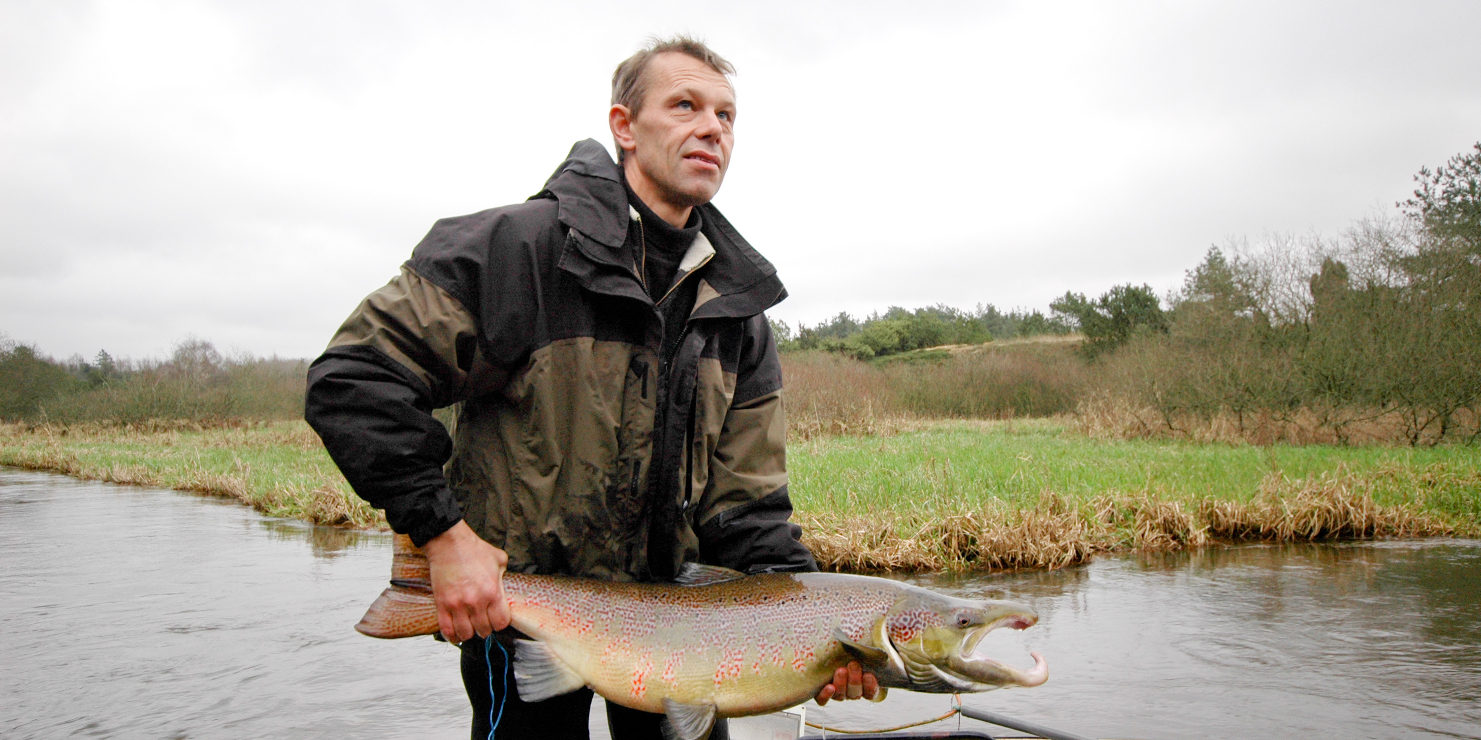 The Danish salmon adventure: from nearly extinct to tourist magnet - DTU