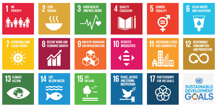 DTU embraces the UN’s 17 Sustainable Development Goals - DTU