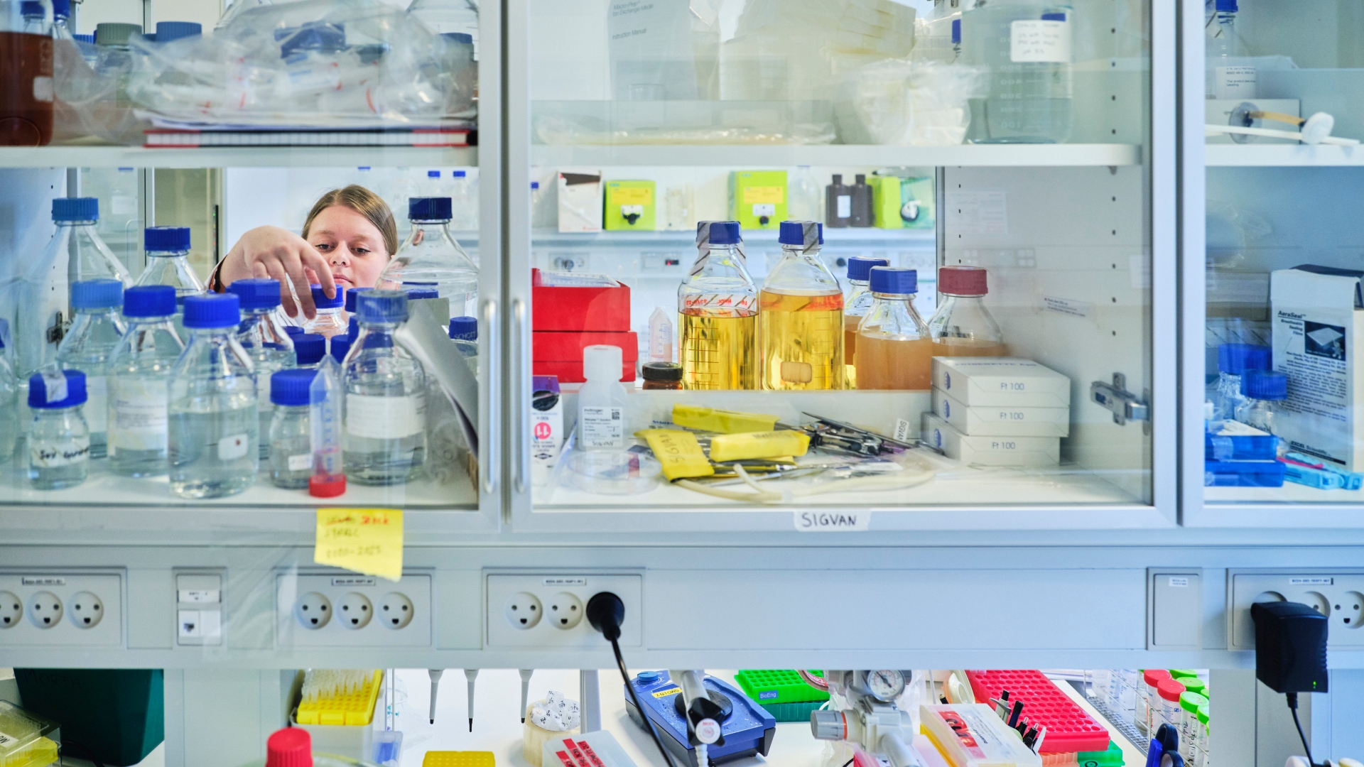 Erhvervs-ph.d.-studerende forsker i rejens unikke biologi