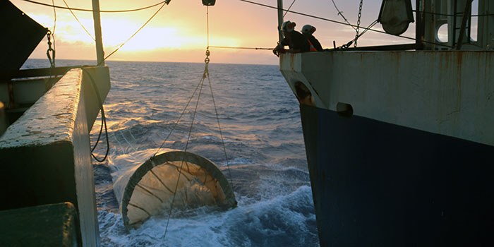 Danish Eel Expedition 2014: First phase successfully completed - DTU