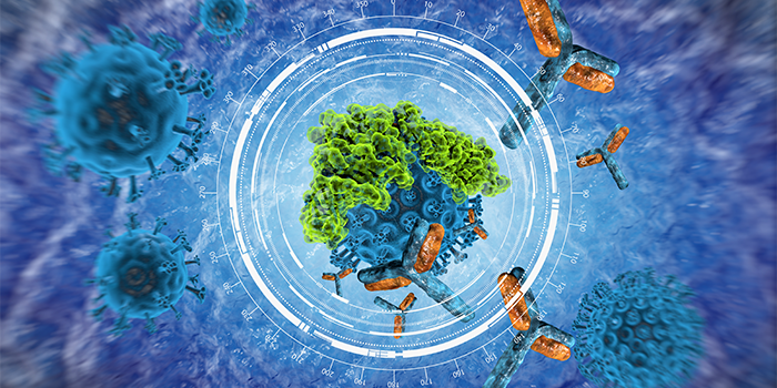 New method facilitates the way to finding new antibodies - DTU