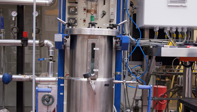 Novozymes and DTU increase focus on fermentation technology - DTU