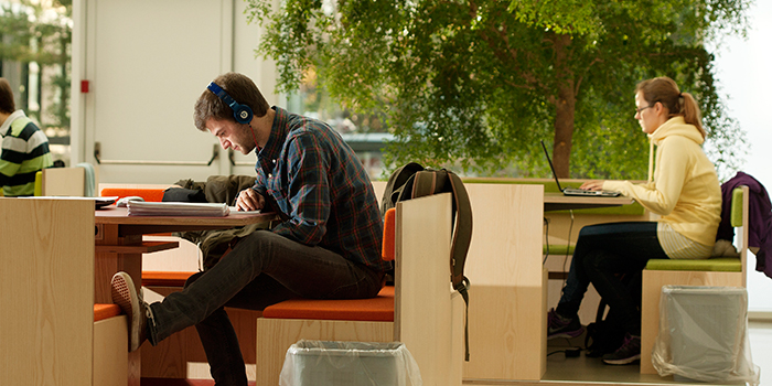 Polymer Technology - joint international programme