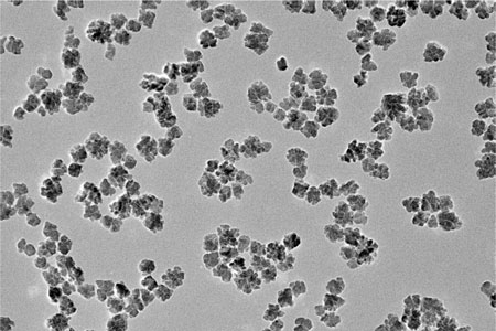 Eight electron microscopes celebrate 10th anniversary - DTU