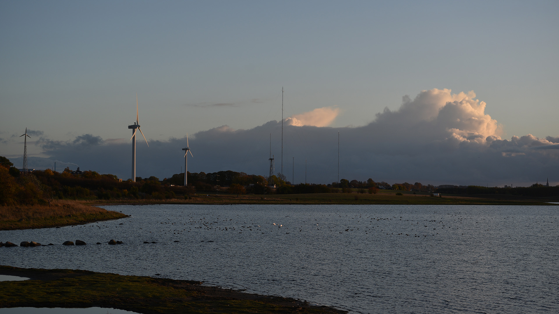 The wind turbine pioneer