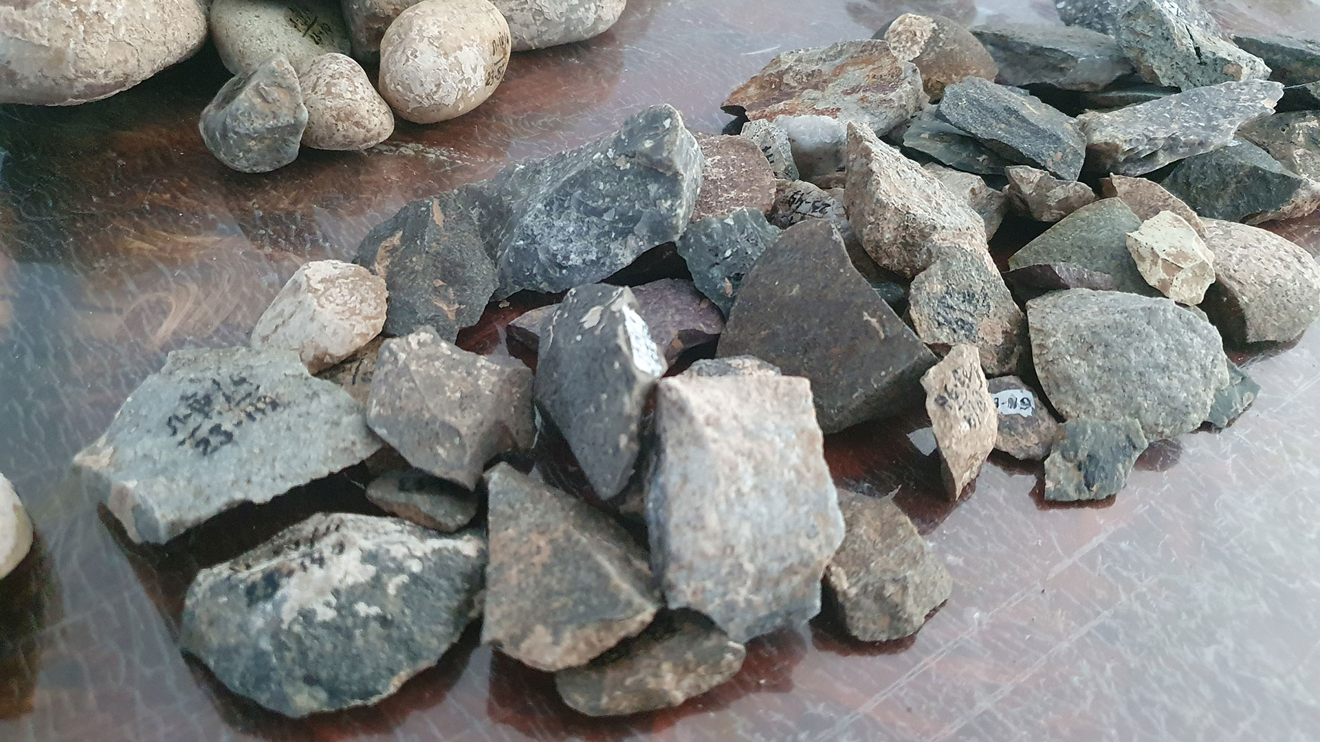 Using cutting-edge technology to trace ancient footsteps
