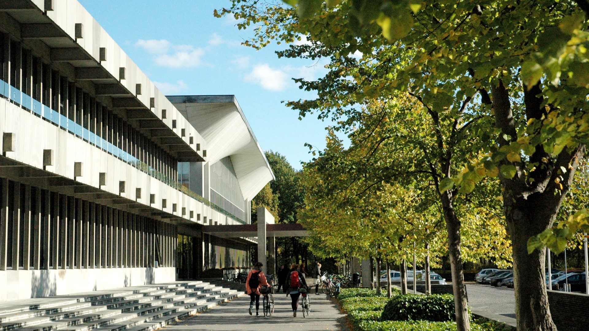 Executive Vice President, Provost For DTU | Mirage News