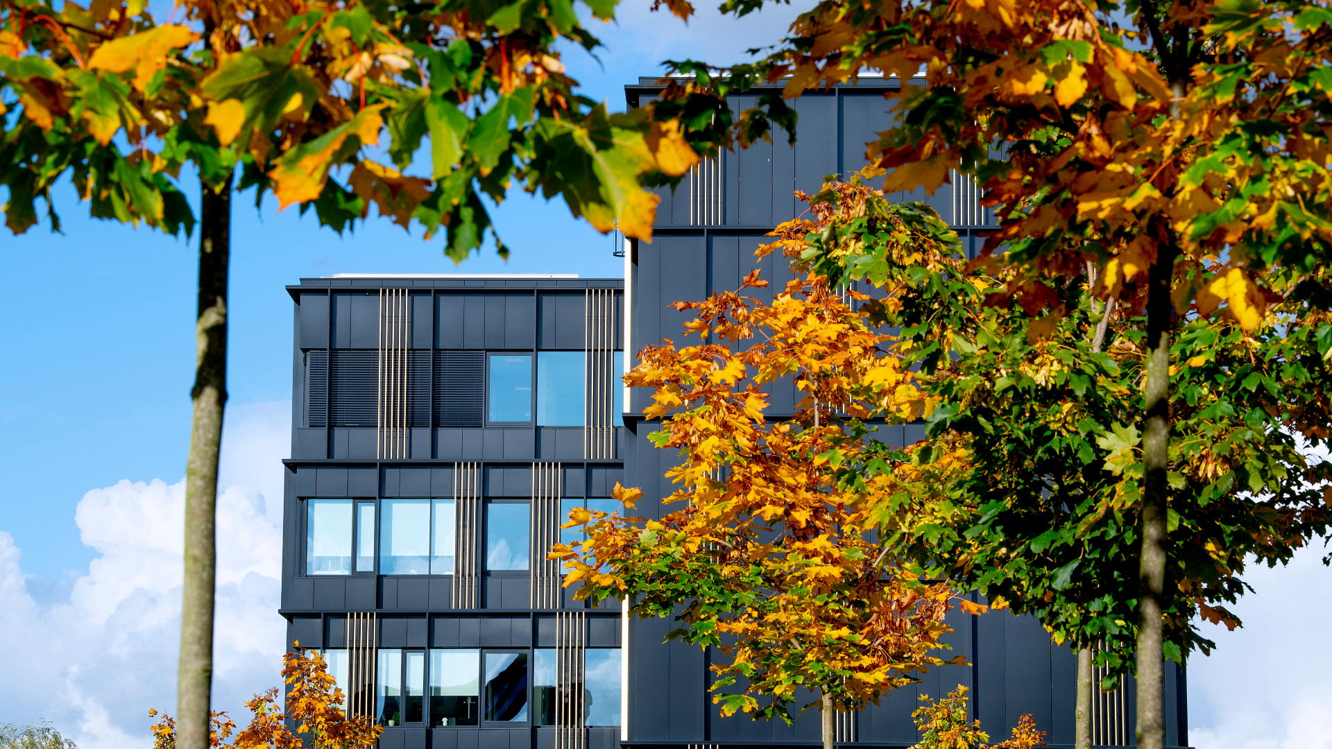 DTU moves up in internationally acknowledged ranking