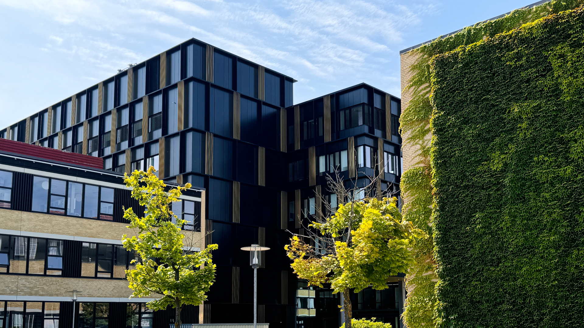 DTU retains strong position on internationally recognized ranking list