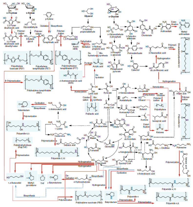 Bio-map charts production routes for industrial chemicals - DTU